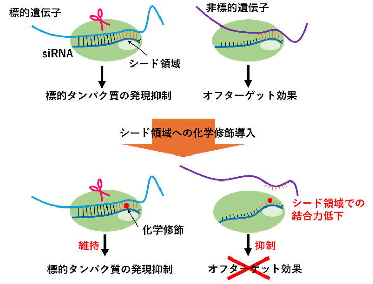 Press Releases - SCHOOL OF SCIENCE THE UNIVERSITY OF TOKYO